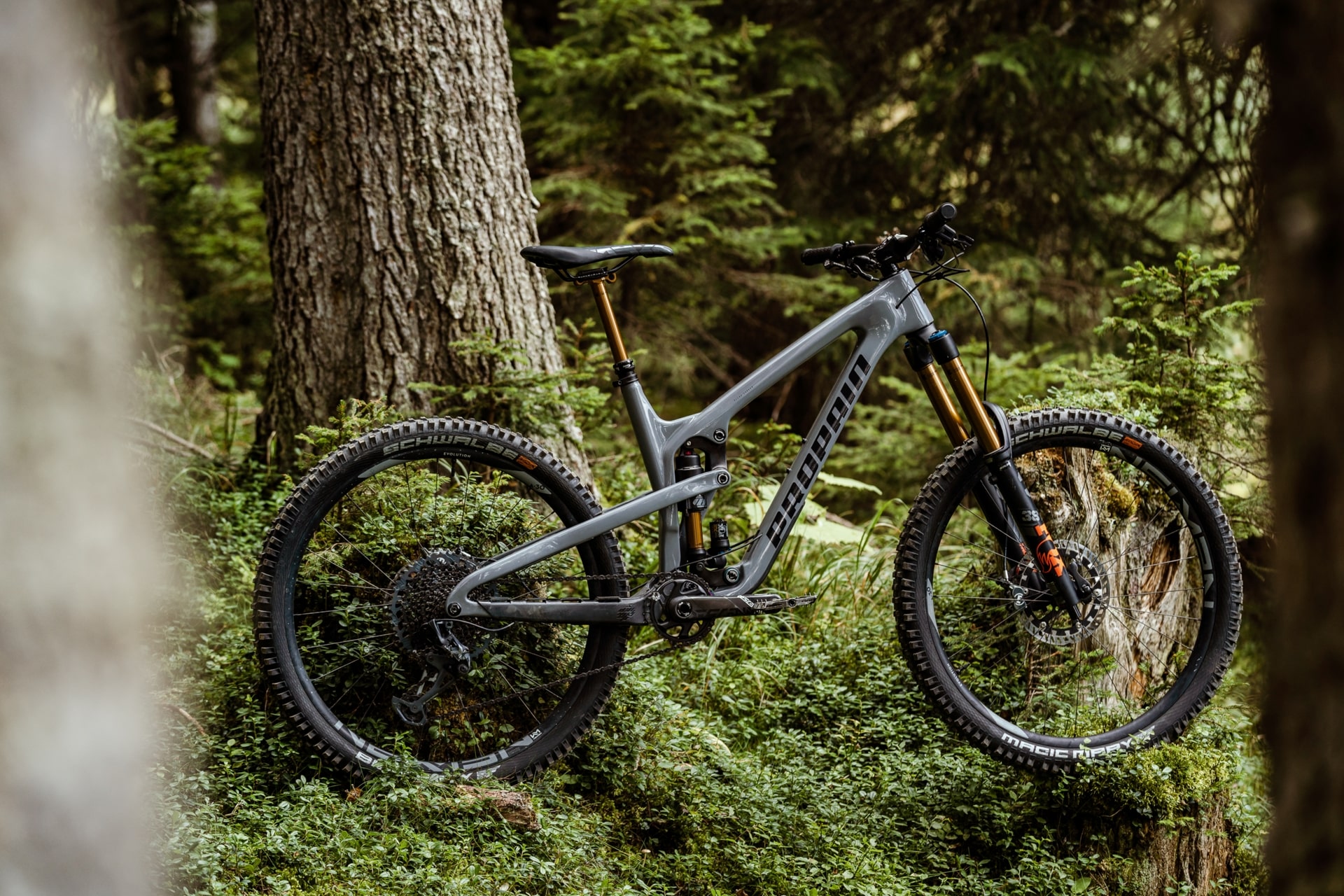 Spindrift CF 180mm Carbon Freeride Mountain Bike 29" / Mix / 27,5 ...