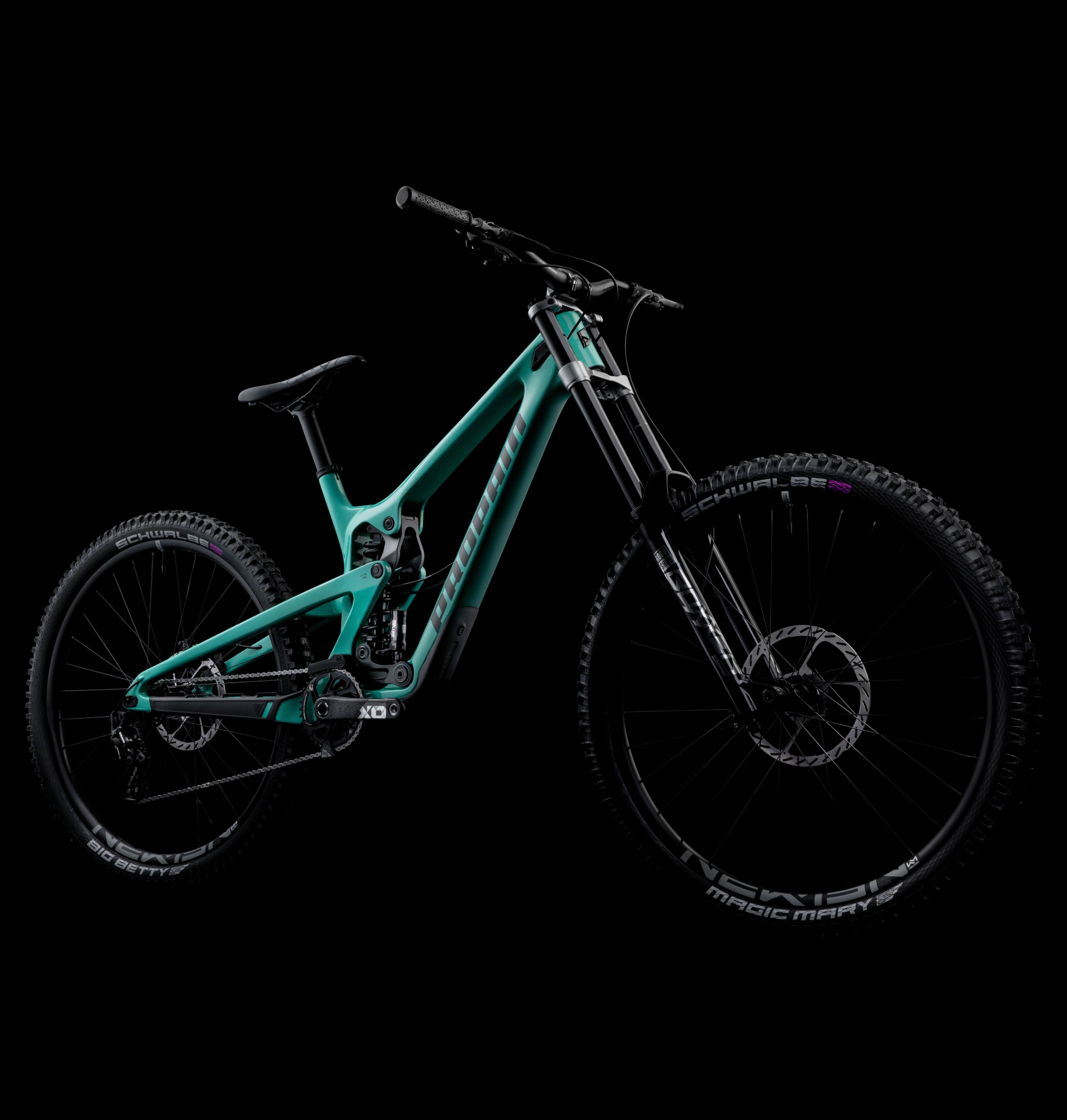 PROPAIN Rage CF 29" / Mix Carbon Downhill Race Bike | PROPAIN Bicycles