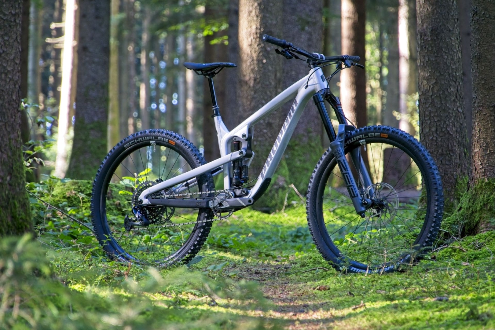 BusinessBike | PROPAIN Bicycles